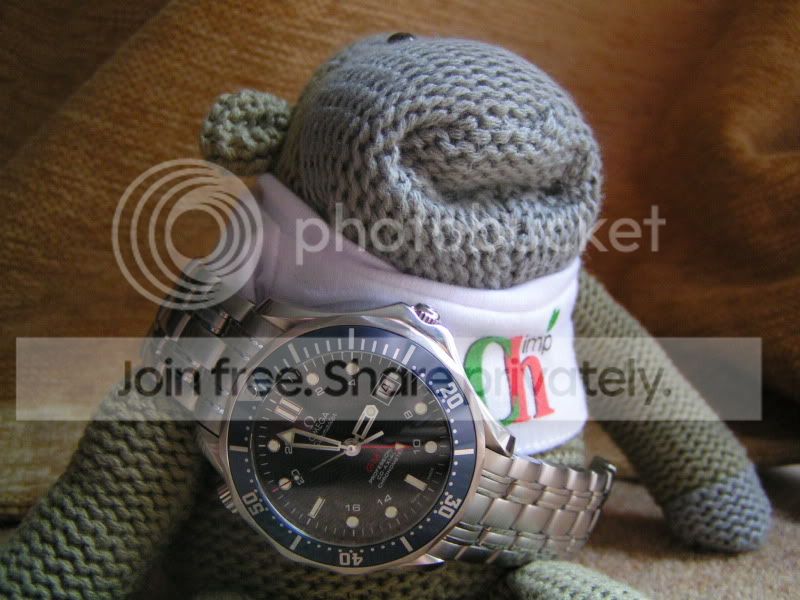 Sun, Seamaster & The Cat >>> | WatchUSeek Watch Forums
