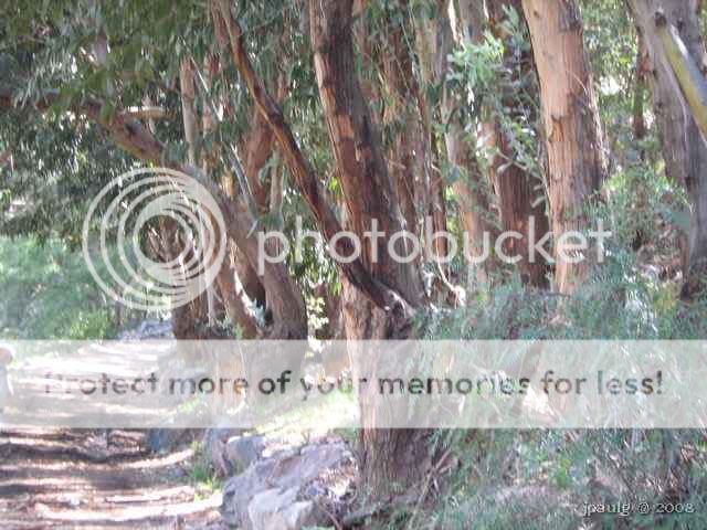 Trekking por Chilina Valley, Aqp -Peru | SkyscraperCity Forum