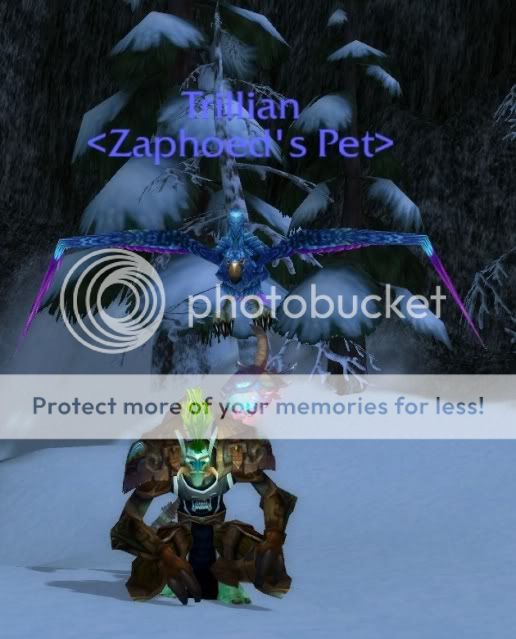 My Pets Thus Far. - WoW Petopia Community