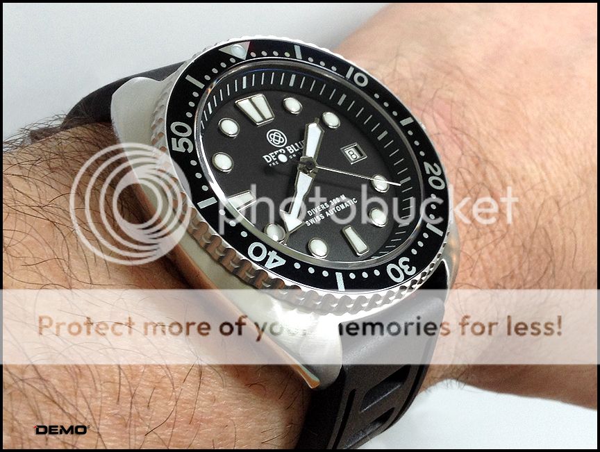 Deep Blue Turtle bezel size vs Seiko Turtle bezel size | WatchUSeek ...