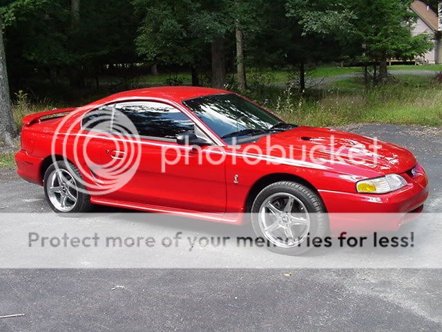 FS: '97 Cobra red | Mustang and Ford Performance Forums