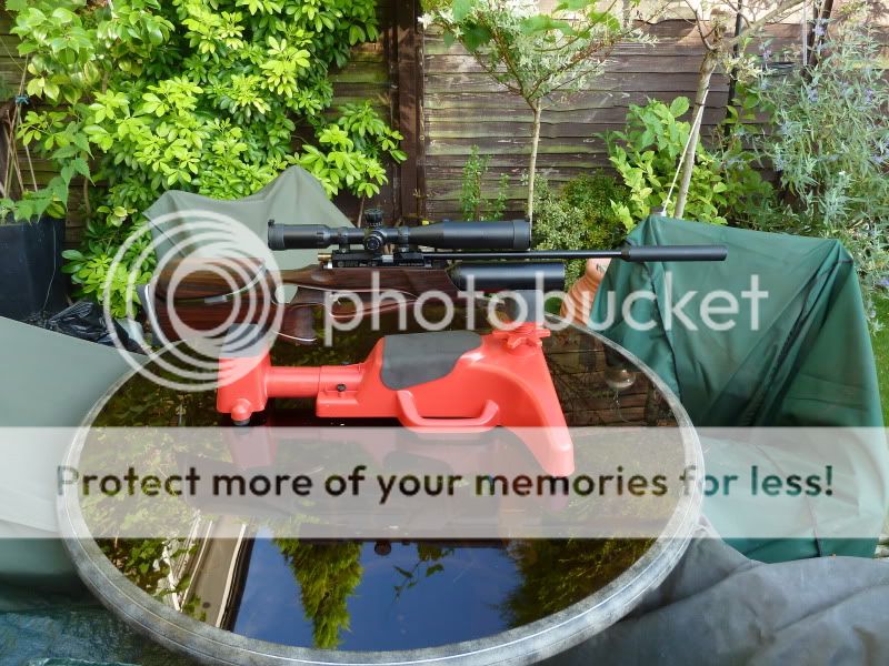 Who Owns What Springers? - Page 7